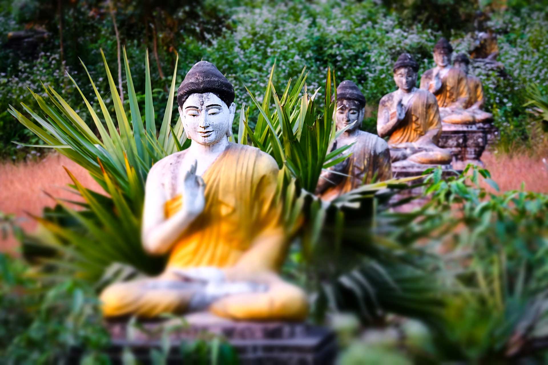 Contact – Birmingham Buddhist Maha Vihara